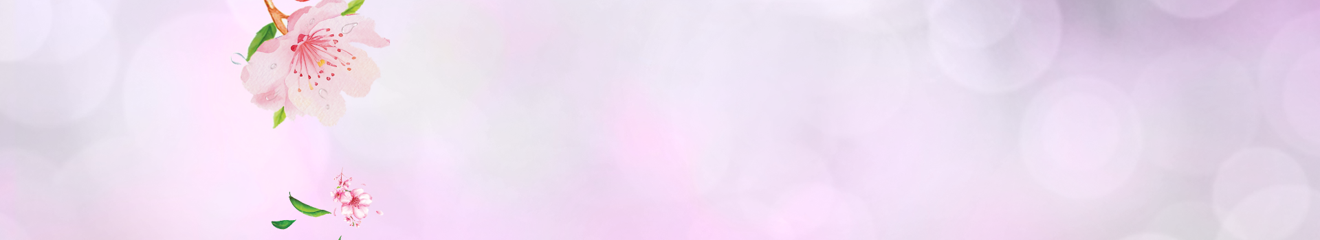 Shoku_packshot_Banners_sakura – SHOKUBUTSU